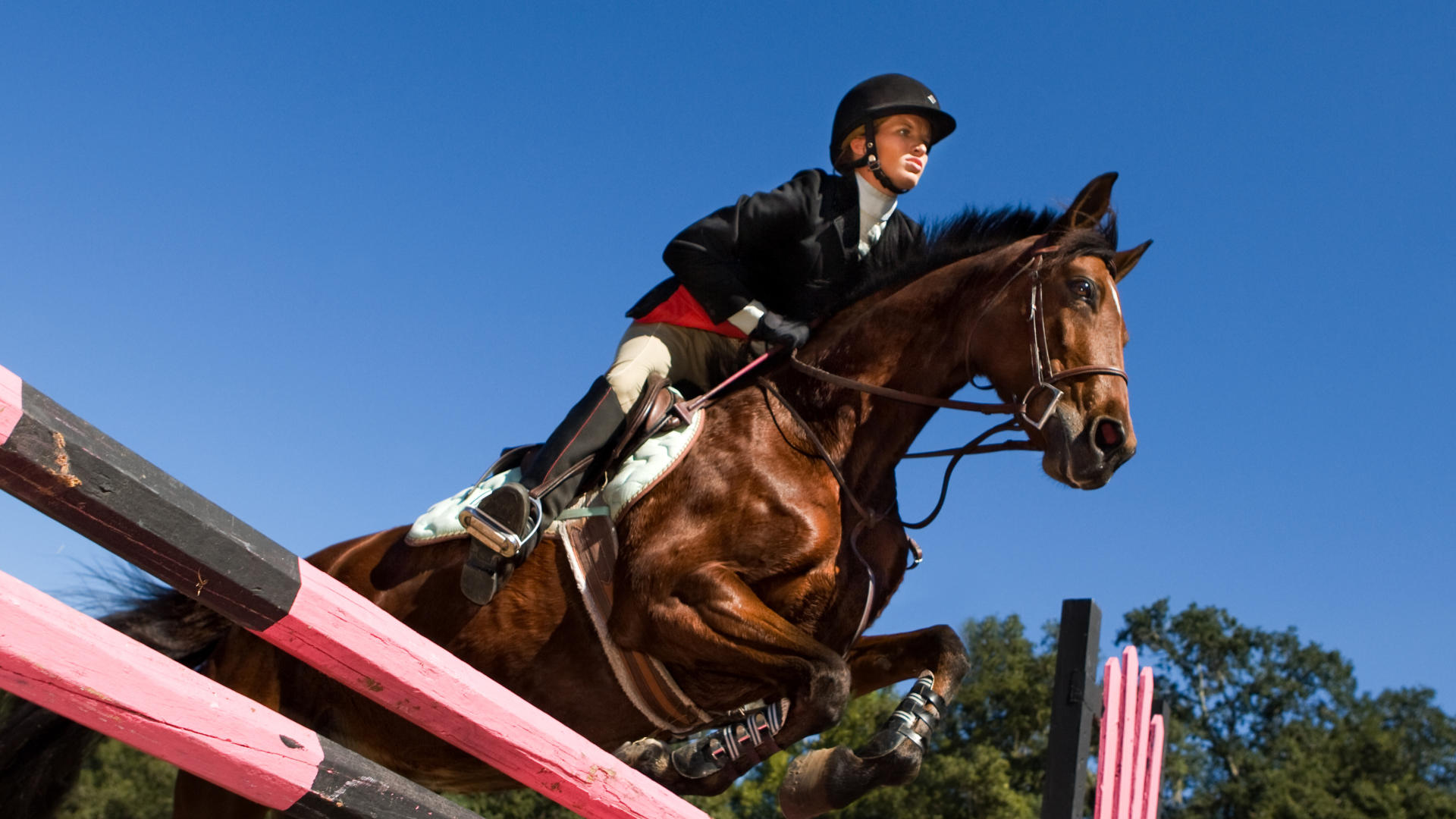 Arena UK British Show Jumping Second Round Show 11th & 14th July | WB ...